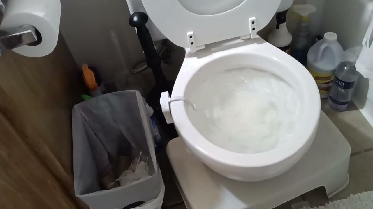 Toilet clogged - YouTube