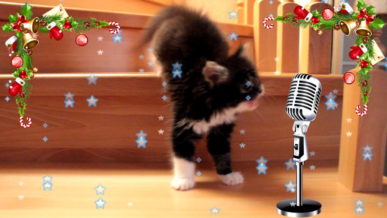 new year 2020 BeatBox by Cat | БитБокс от Кота - YouTube