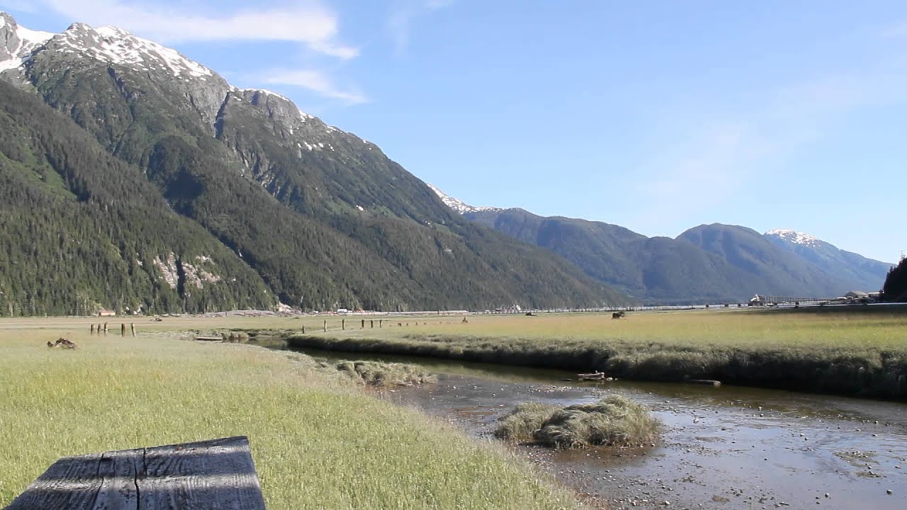 Estuary Boardwalk in Stewart, British Columbia on a sunny summer day ...