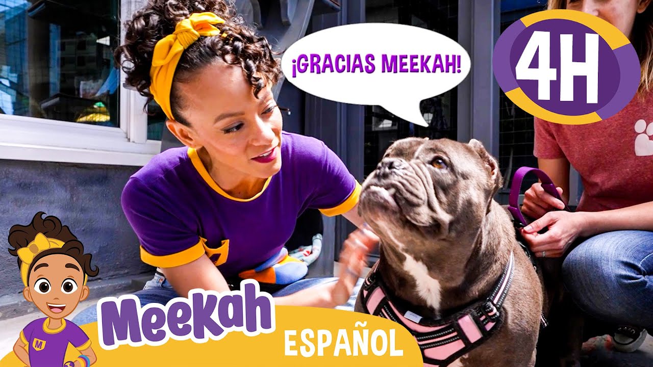¡Meekah Pasa el Tiempo con los Animales de la Fundación Lange! | 💜¡Hola ...