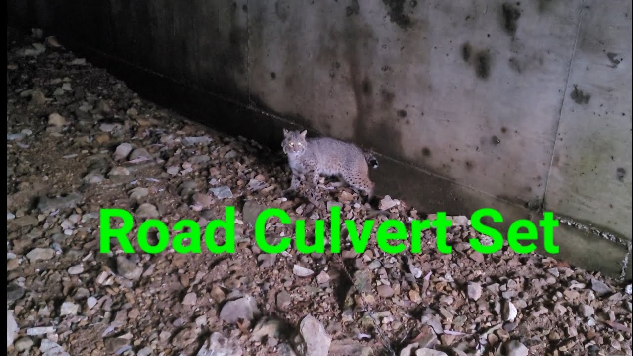 Bobcat Culvert Set - YouTube