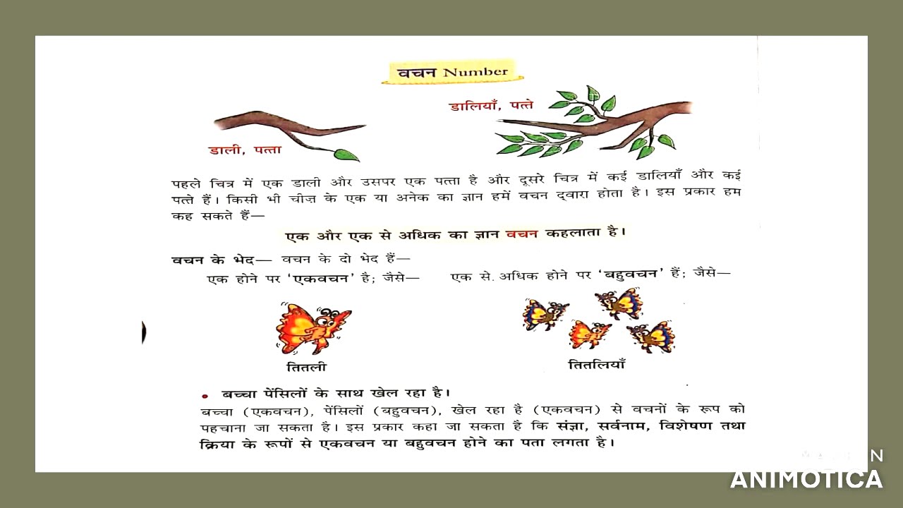 Class-5 "Hindi Grammar" Chapter-5 "Ling, Vachan, Aur Kaarak (Gender ...