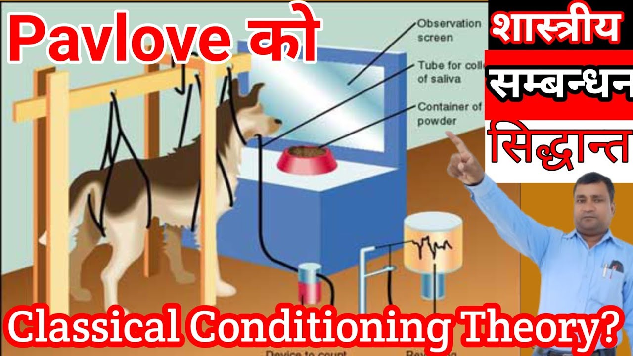 Classical conditioning learning theory/Pavlov conditioning theory ...