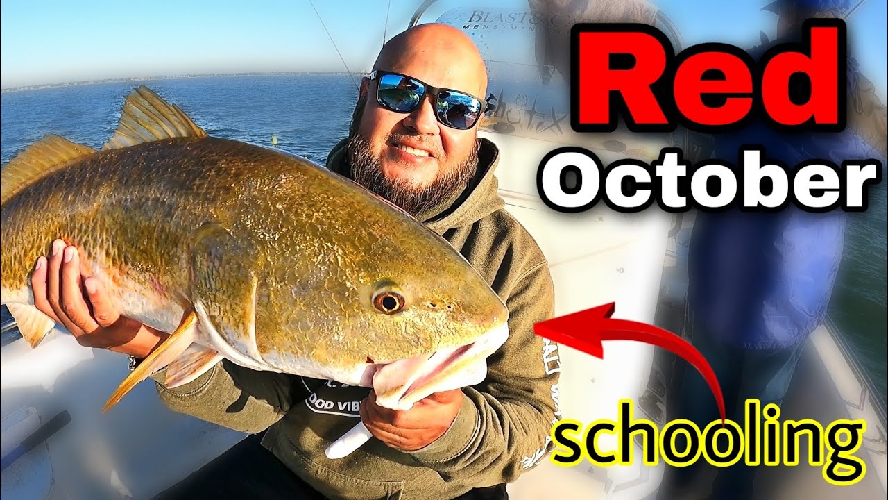 Red October Fishing | Huge School of Bull Red Drum - YouTube