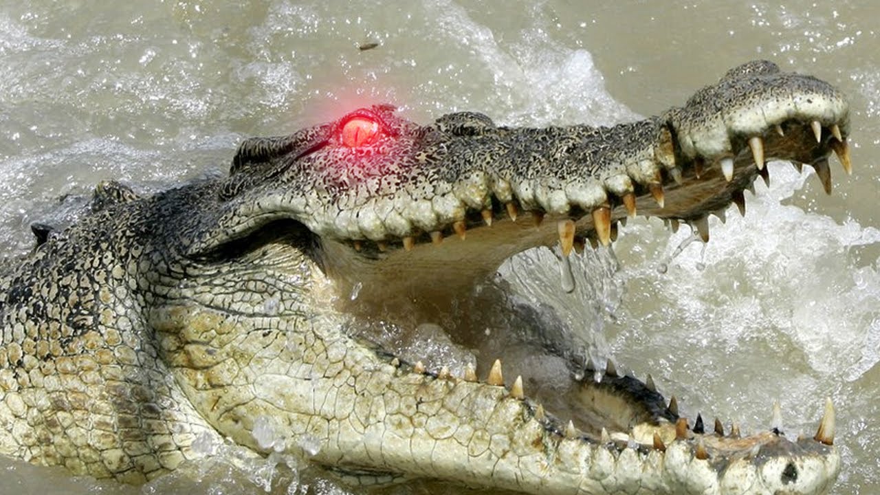 Terrifying River Monsters Ever Found! - YouTube