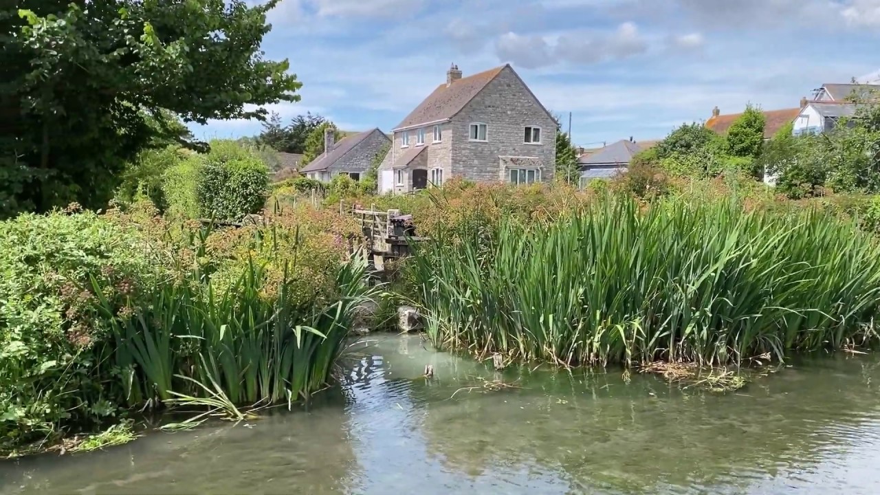 Sutton Poyntz walk 12 7 2020 - YouTube