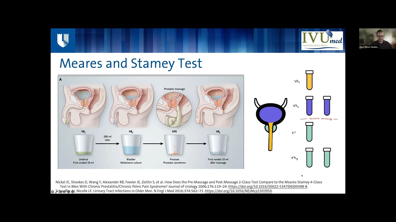 IVUmed VVP: Prostatitis - YouTube