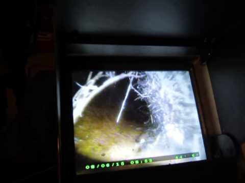 Roto Rooter Camera - YouTube