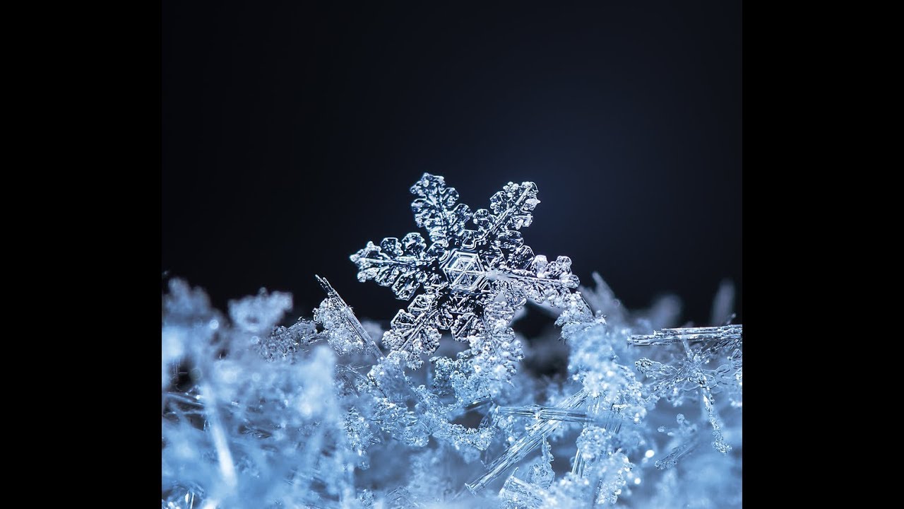 (V1) EBF5 Snowflake 2 Turn Capture - YouTube