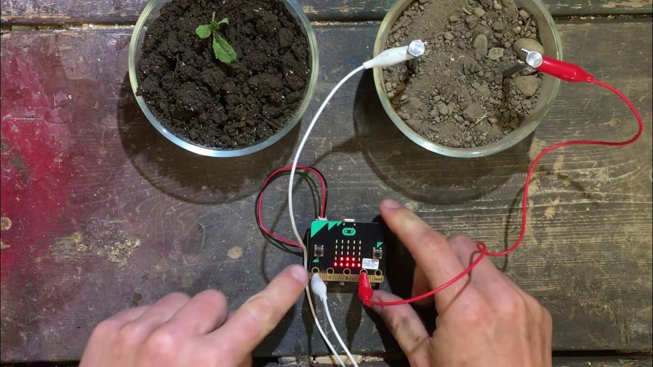 micro:bit moisture sensor - YouTube