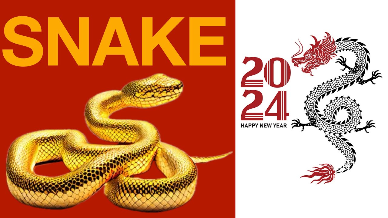 Snake 2024 Chinese Zodiac Prediction Tarot Prediction for the Year of ...