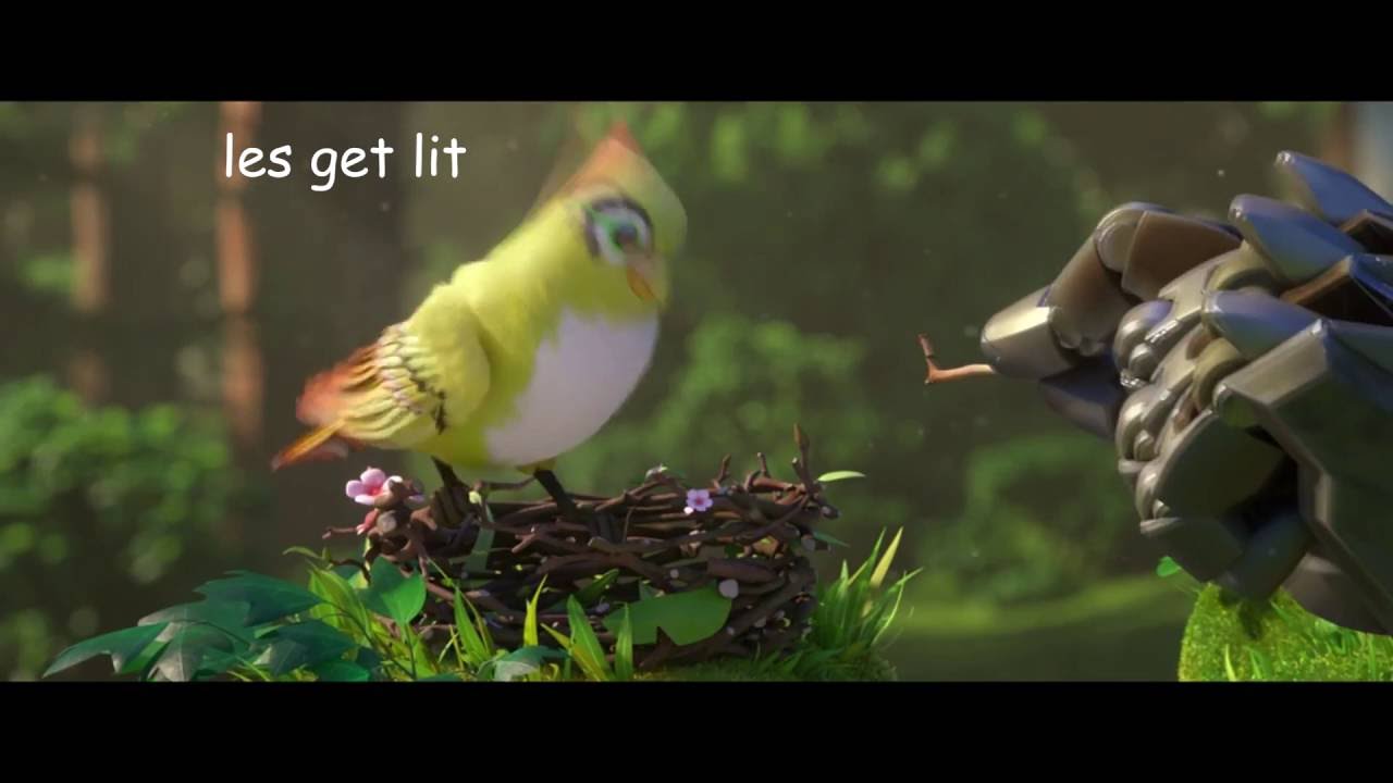 Overwatch Animated memes: Some robot and it's bird - YouTube