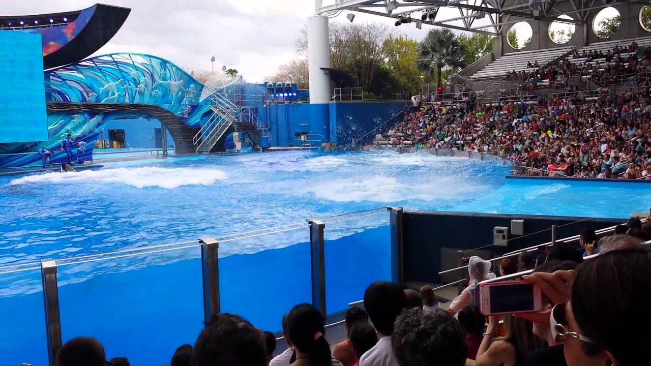 SeaWorld Orlando - Shamu 6 Big Splash - YouTube