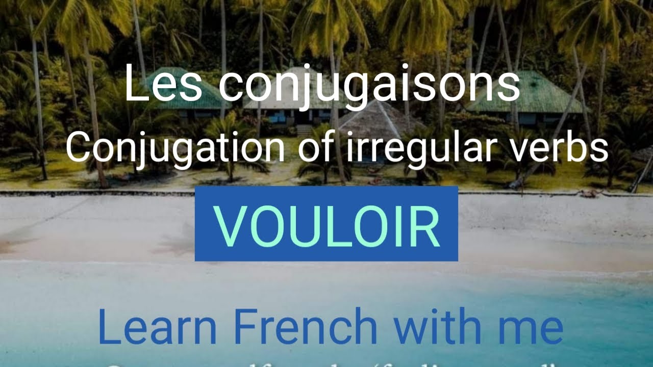 French lesson 17.11|| Conjugations/ Les conjugaisons||VOULOIR in ...