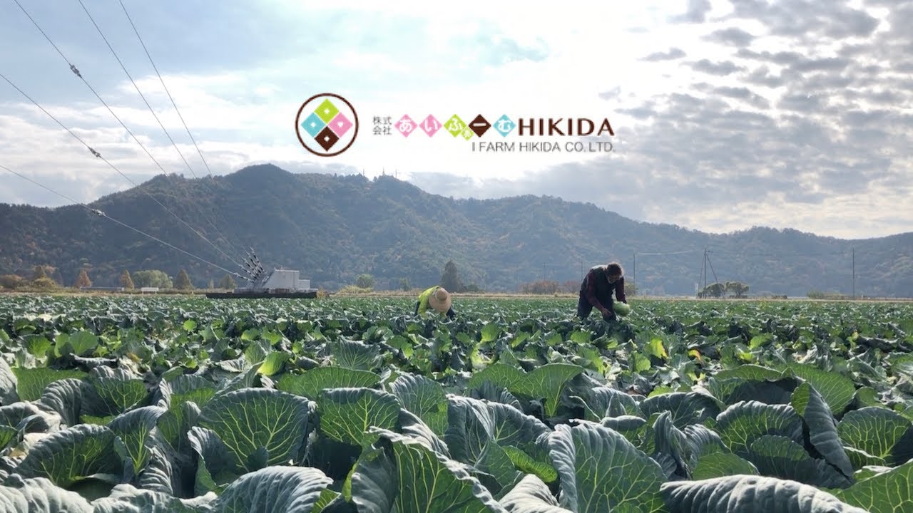 あいふぁーむHIKIDA会社紹介 - YouTube