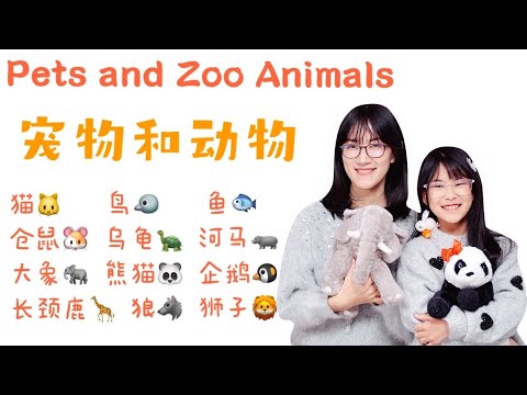 Pets and Zoo Animals |儿童中文学习：宠物和动物中文课|Mandarin learning for Children ...