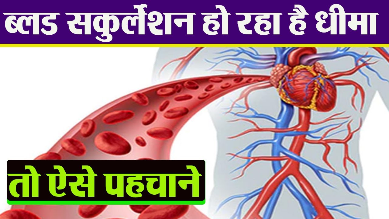 Blood Circulation Body में क्यों हो जाता है Slow,जानिए कारण और इसे ठीक ...