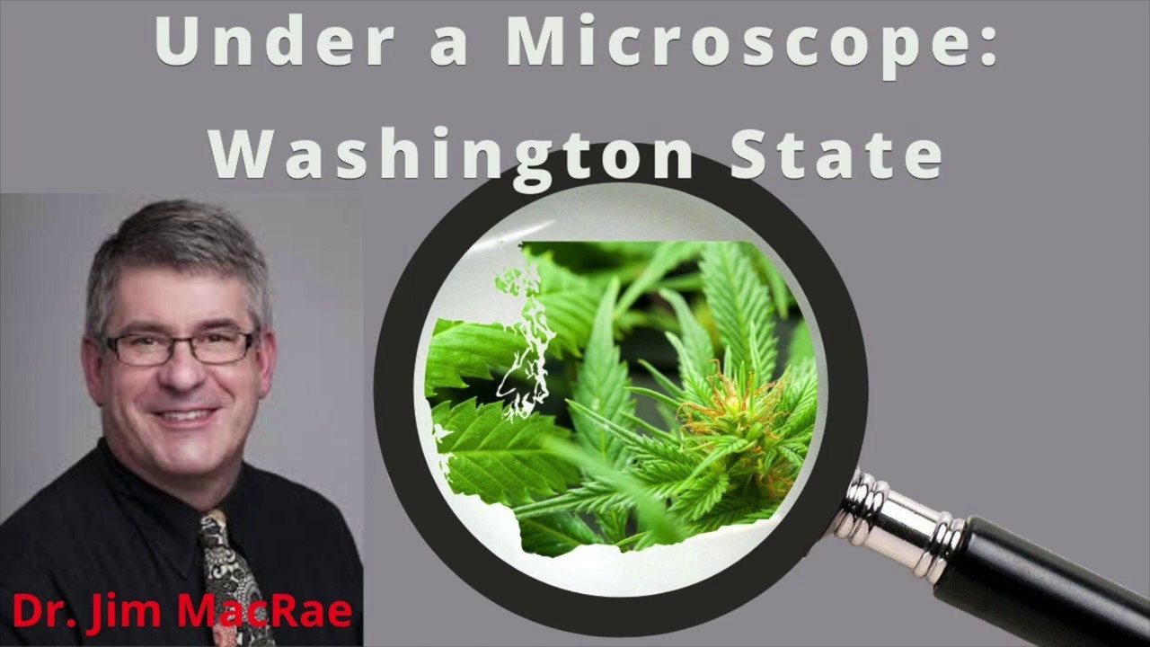 Under a Microscope w/ Dr. MacRae: WA State - YouTube