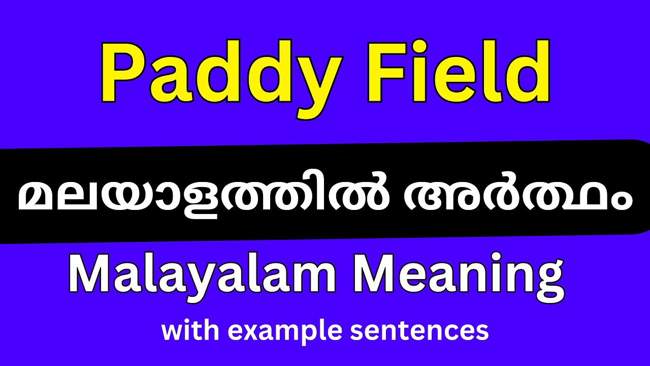 Paddy Field meaning in Malayalam/Paddy Field മലയാളത്തിൽ അർത്ഥം - YouTube