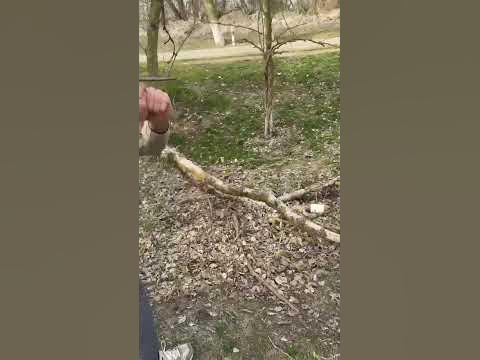 Меч из дамасской стали 🔥 - YouTube