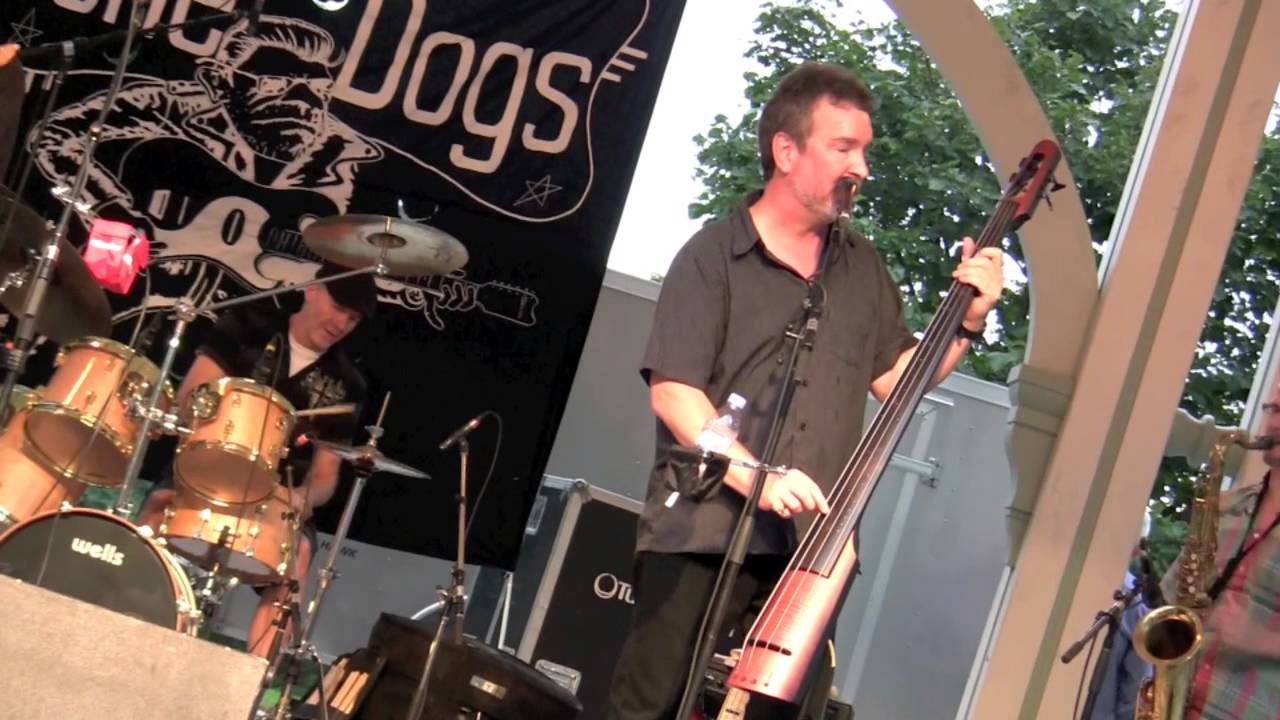 ROUTE 66 THE TONE DOGS Live Unionville Concert - YouTube Music