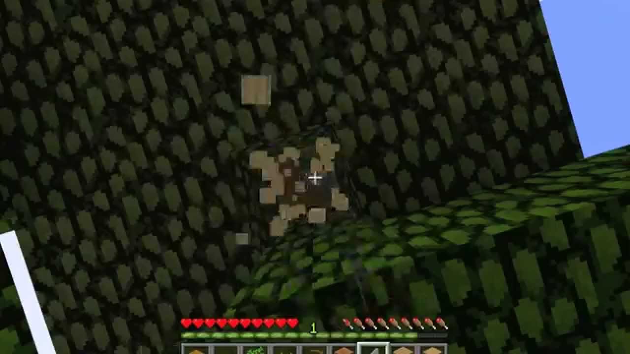 Official Minecraft Survival D1 - YouTube