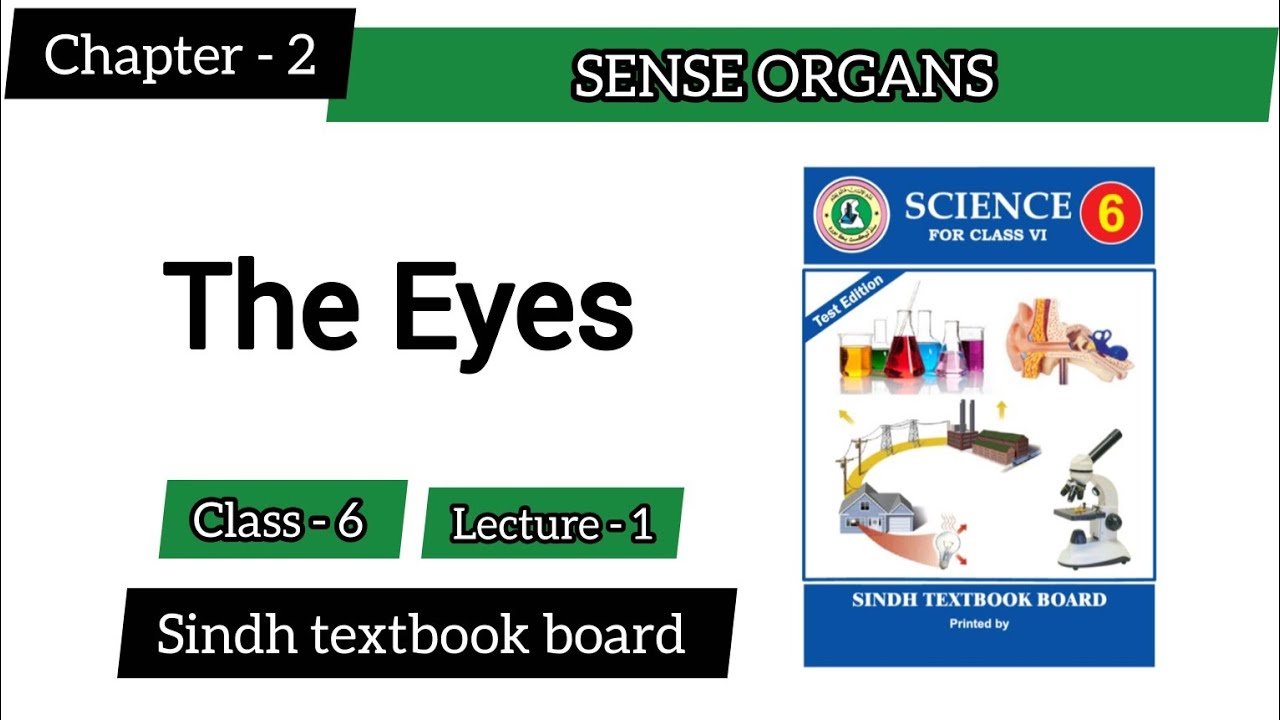 Sense Organs – The Eye | class 6 |Chapter 2 Lecture 1 | Sindh Textbook ...