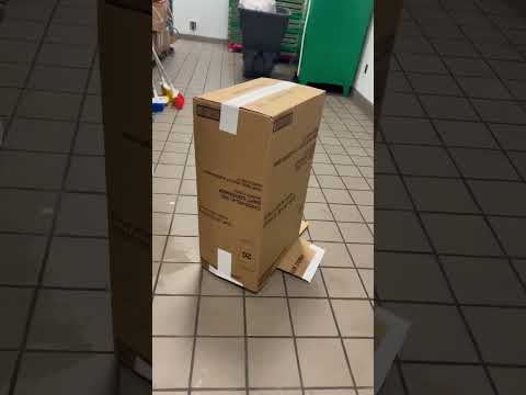 When you have a short coworker that can fit into a box😂😭😭 - YouTube