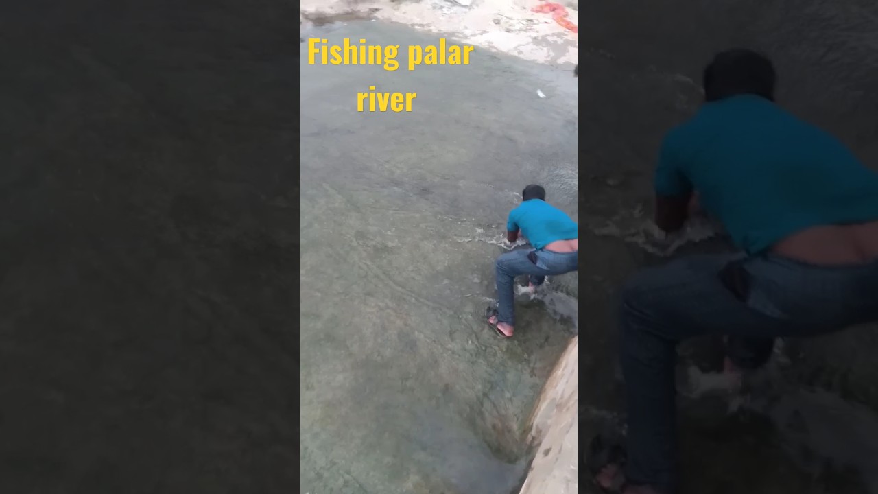 viral fishing video meen pidithal - YouTube