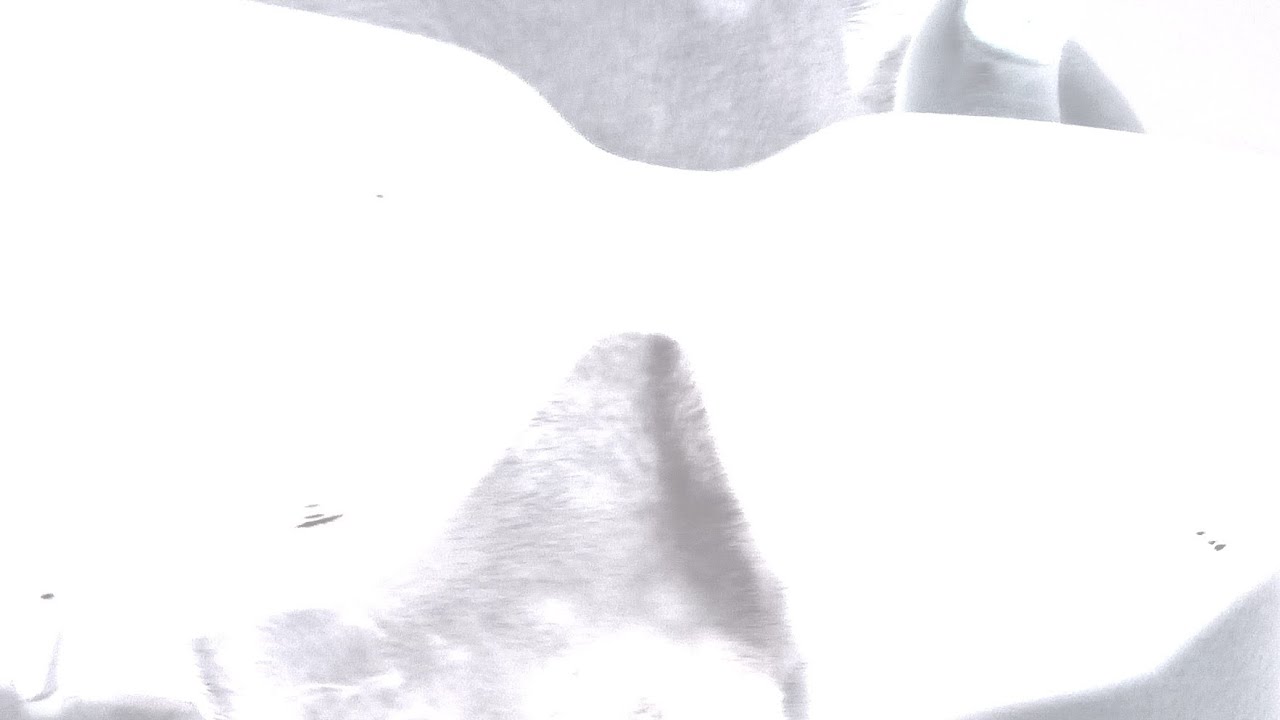 (Dc2) cursed dipsy test - YouTube