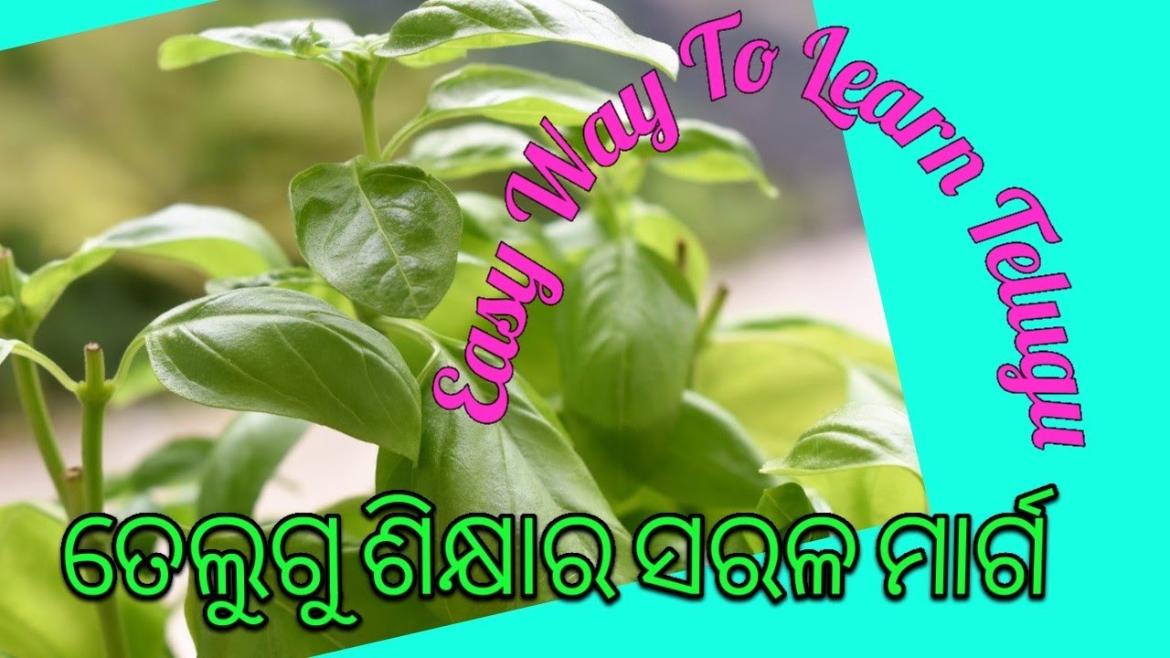 Easy Way To Learn Telugu YouTube Easy Way To Learn Telugu YouTube