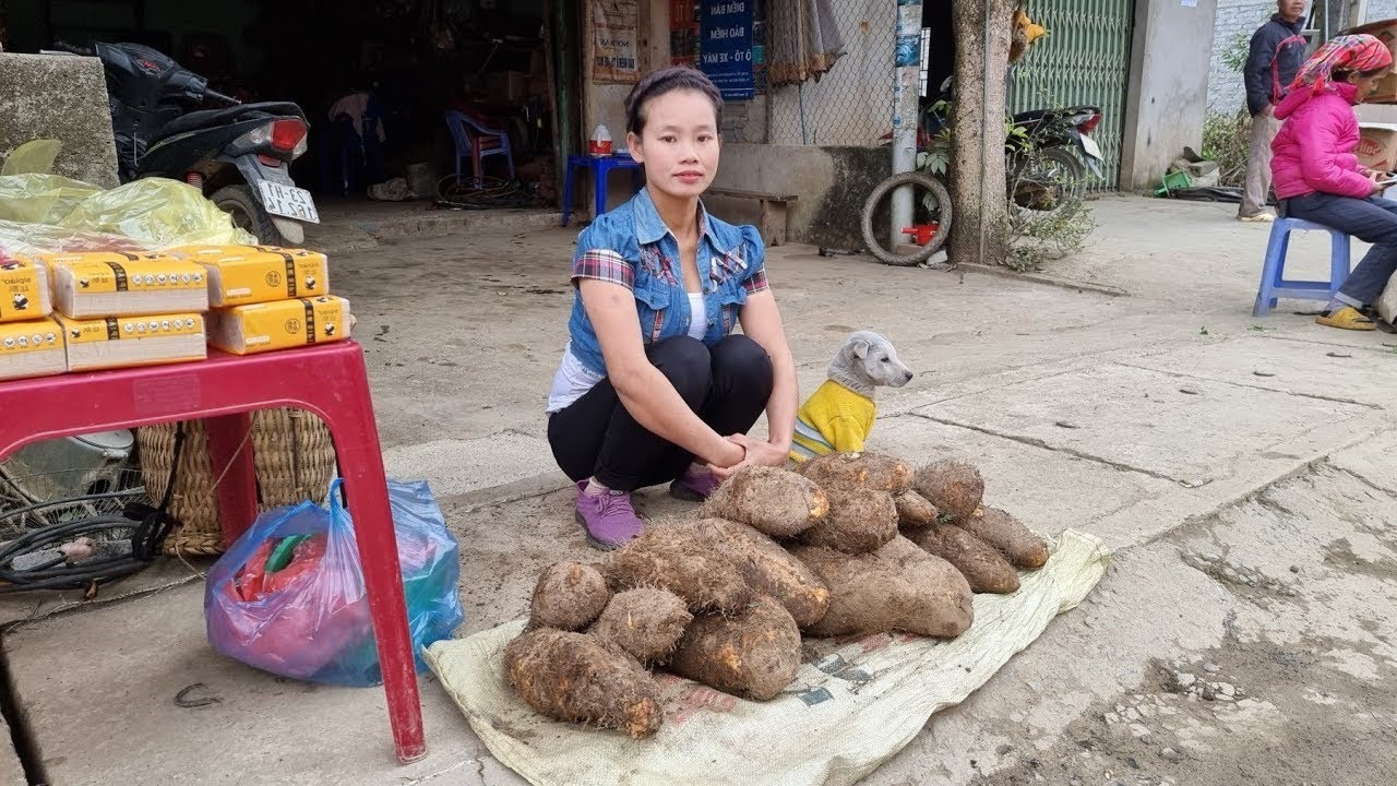 FULL VIDEO : harvest ginger, lemon, green vegetables, wild tubers to ...