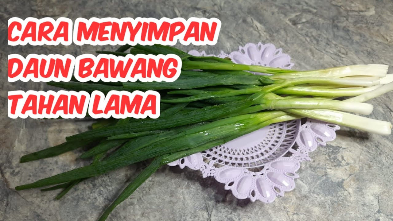 Cara Menyimpan Toge Dan Daun Bawang Agar Tahan Lama Youtube