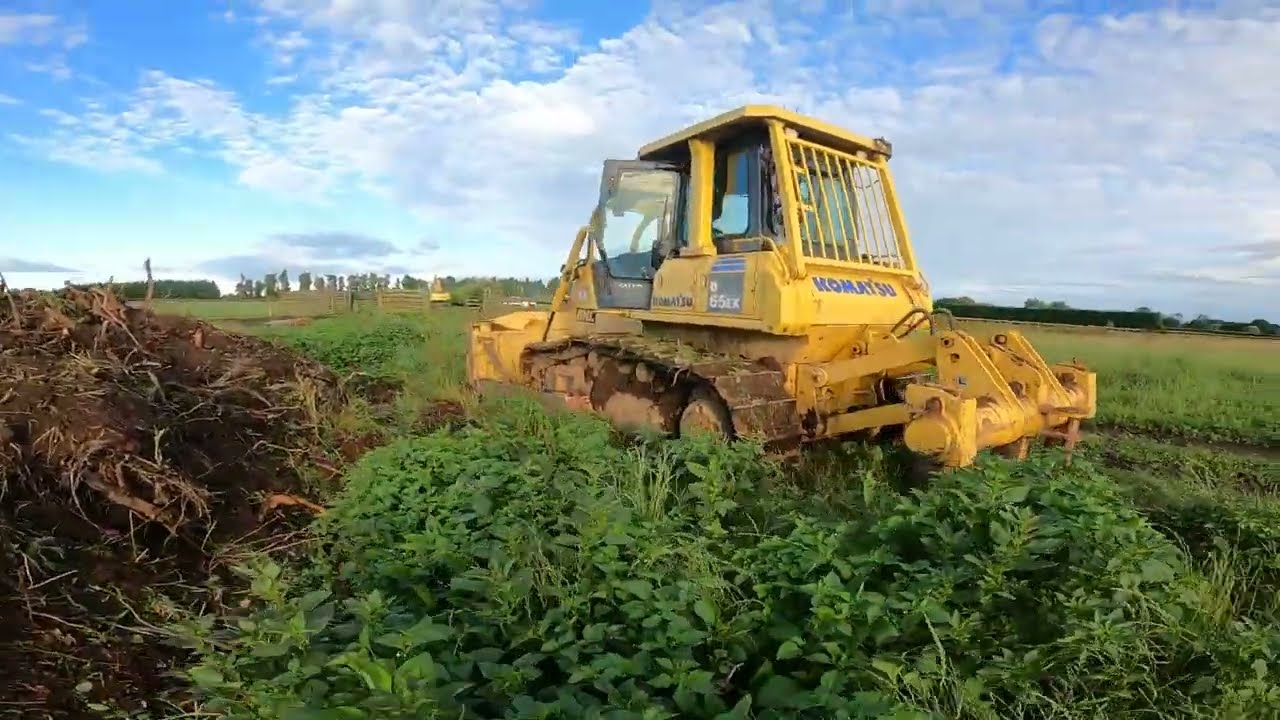 BULLDOZER Ripping Roots and stumps - YouTube