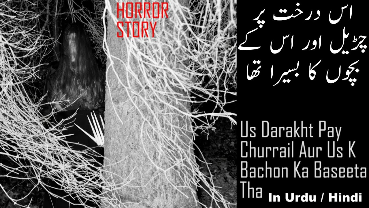 OCS 316. Us Darakht Par Churrail Aur Us K Bachon Ka Basera Tha - YouTube