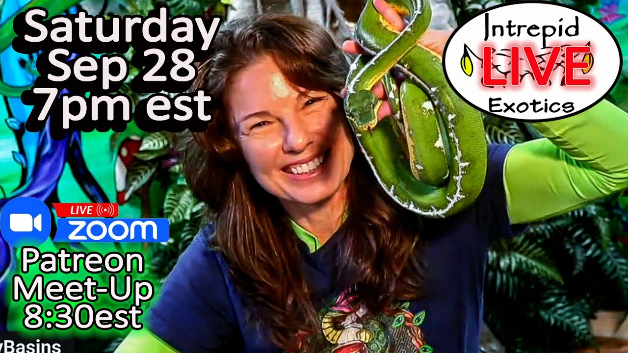 Saturday Night Livestream with Amy Benzi - YouTube