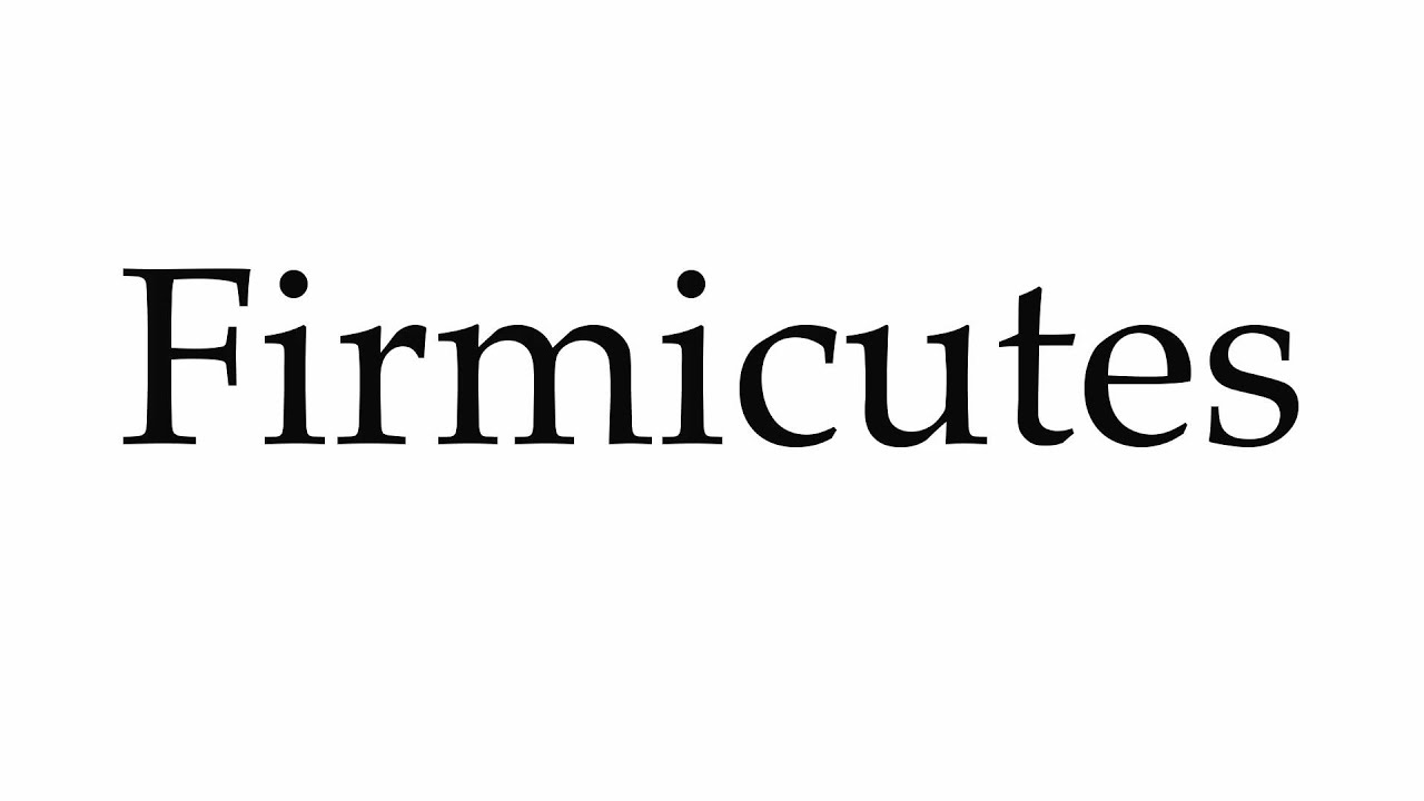 How to Pronounce Firmicutes - YouTube