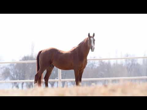 30 saniyede Özgünhan