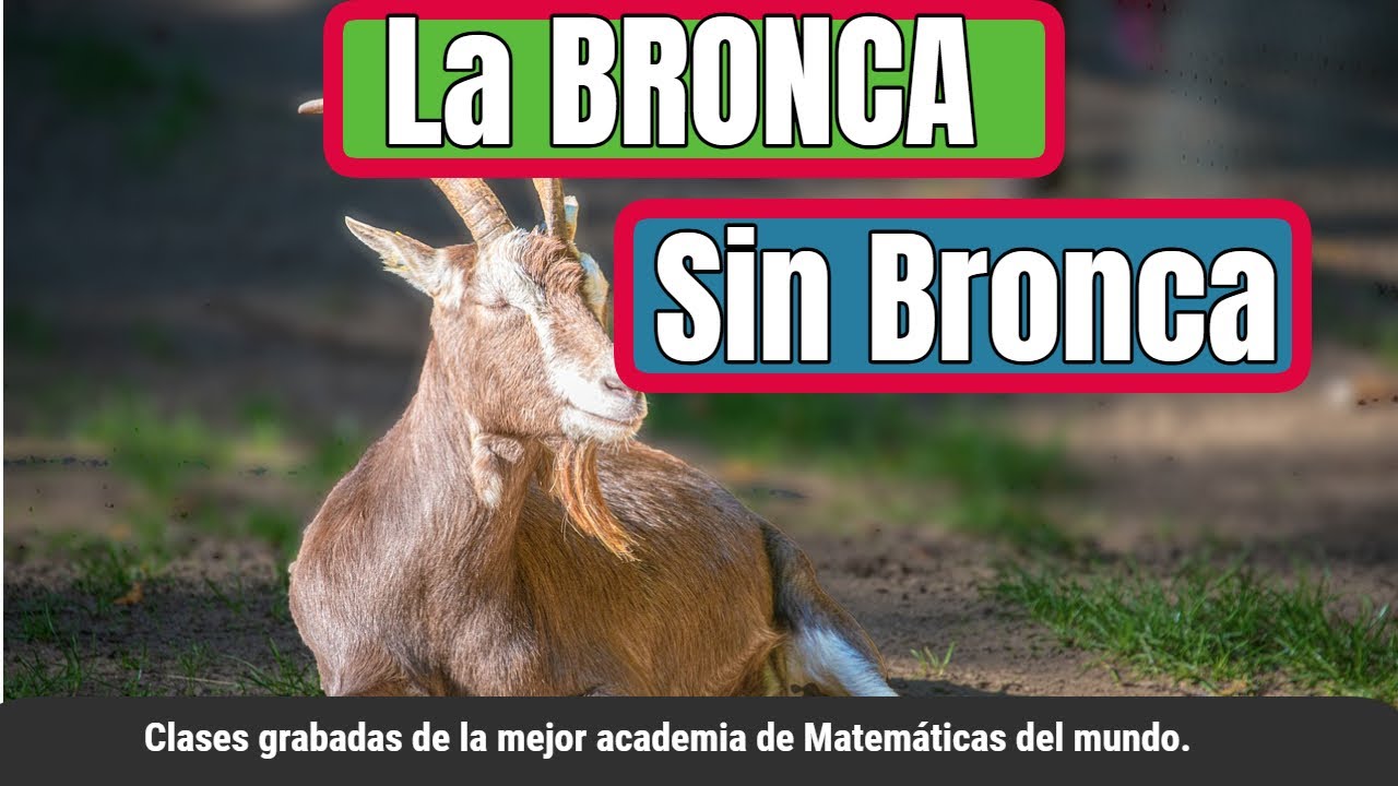 🤬 Bronca a mi alumna sin BRONCA - YouTube