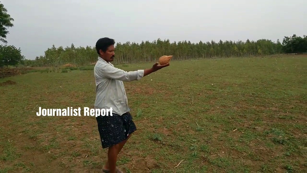 Bore well Point || Ground water finding with coconut for Bore well Digging - YouTube