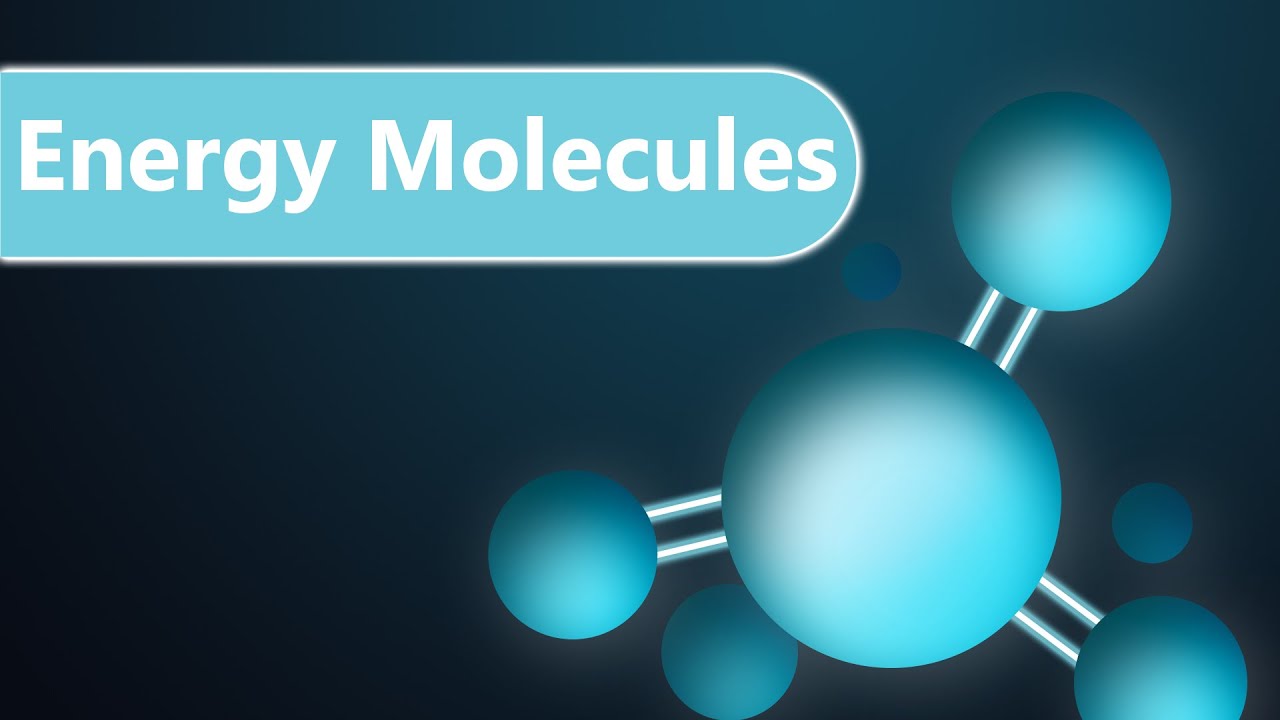 #Energy molecules စွမ်းအင်သိုလှောင်ထားသည့် ဂလူးကို့စ်မော်လီကျူးနှင့ ...