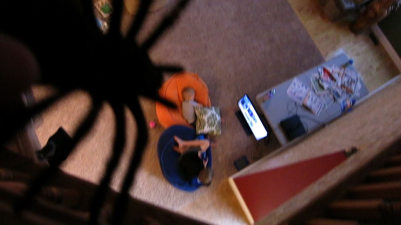 Spider VS Kids FAIL!! - YouTube