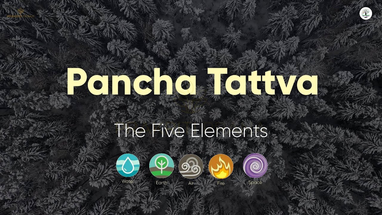 What are the 5 elements of nature | What is the Panchtatva | पंचतत्व ...
