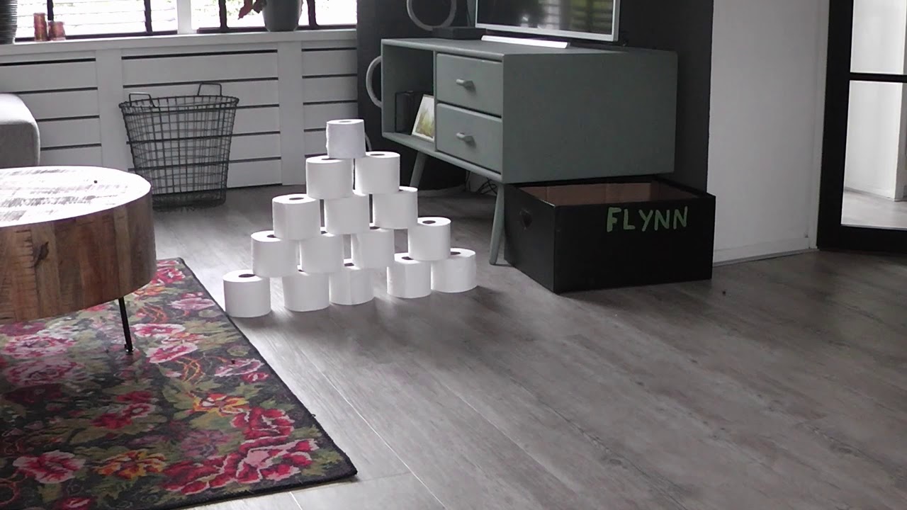 Cat bowling - YouTube