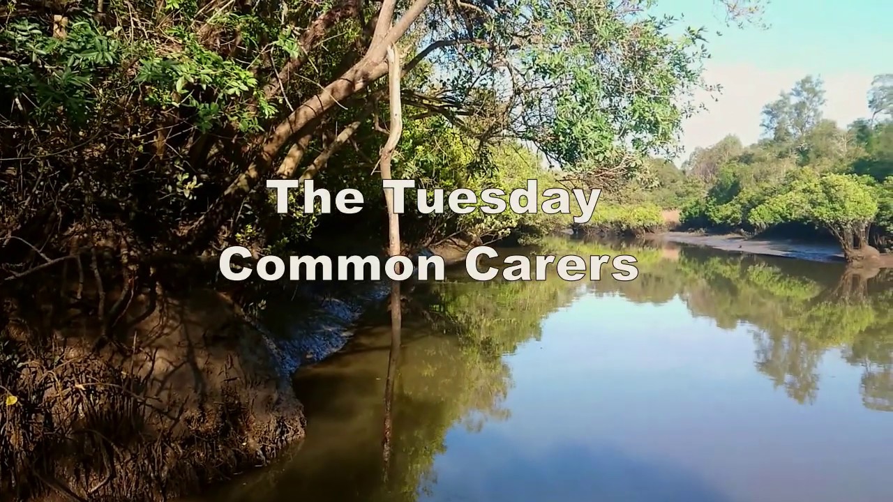 Oxley Creek Common: The Tuesday Common Carers - YouTube