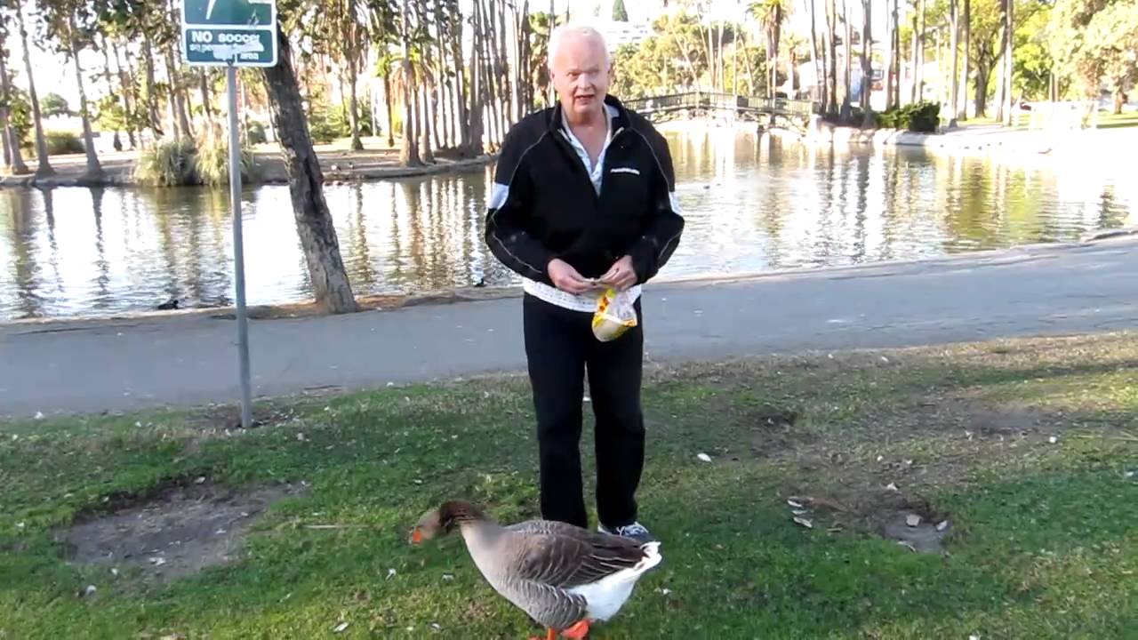 Maria the Goose greeting Dominic - YouTube