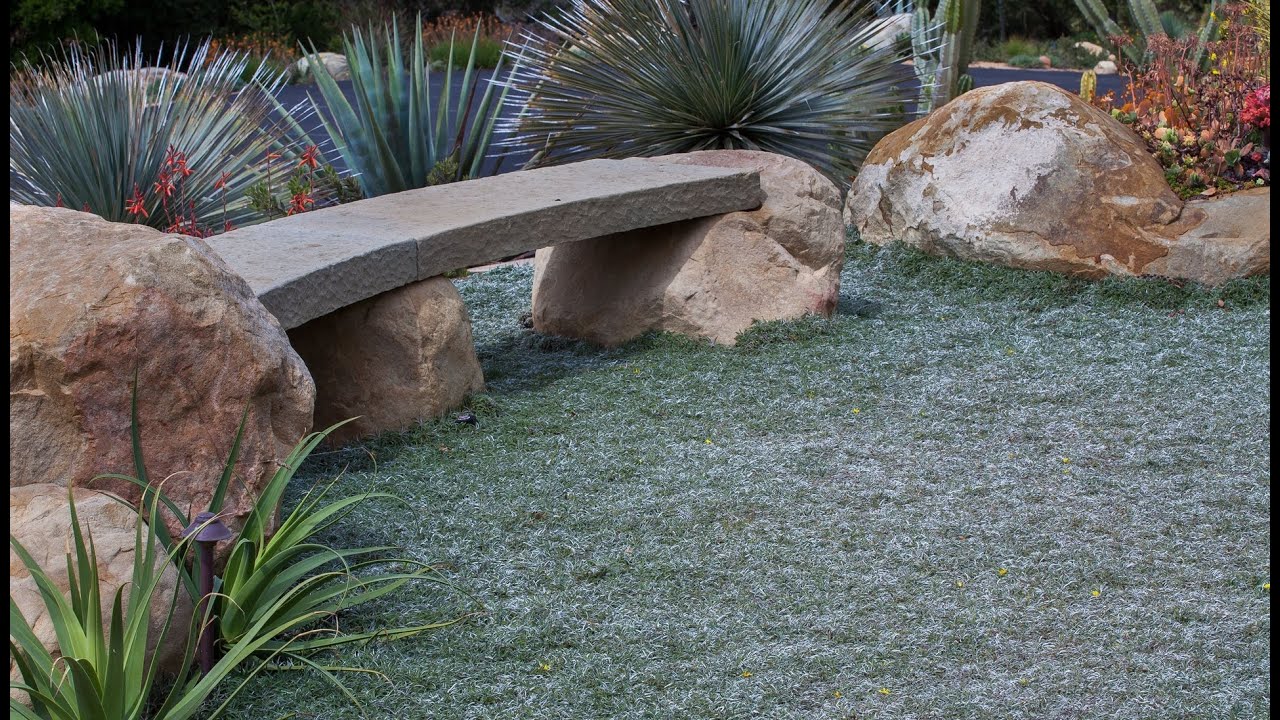Turf Alternatives in a Mediterranean Climate - YouTube
