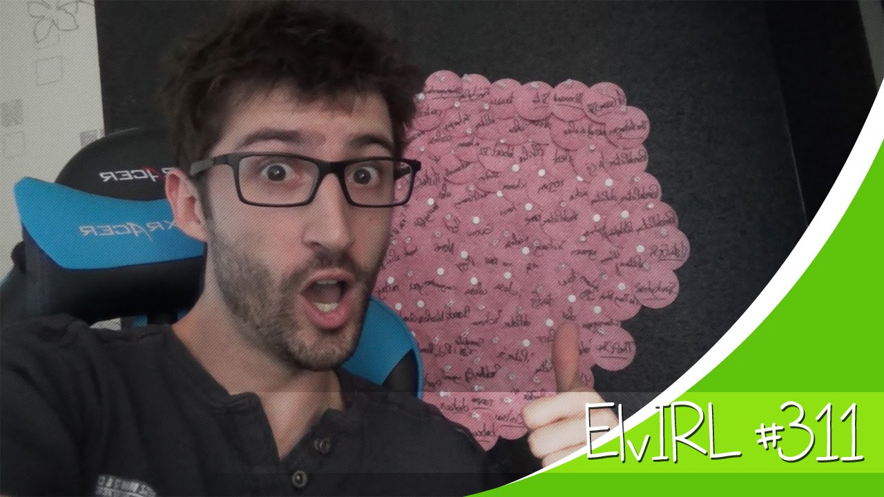 ElvIRL #311 - DES BONNES NOUVELLES - YouTube