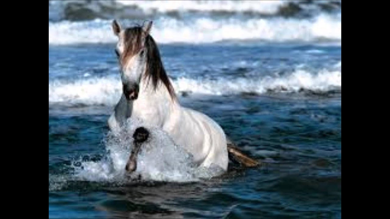 Mario pino la leyenda del cain - YouTube