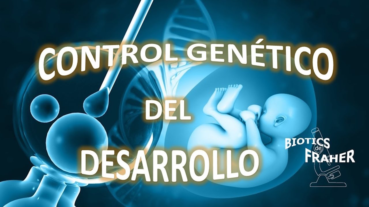 Control Genético del Desarrollo - YouTube